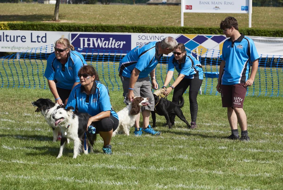 First UK Flyball League Championship gets off to a flying start ...