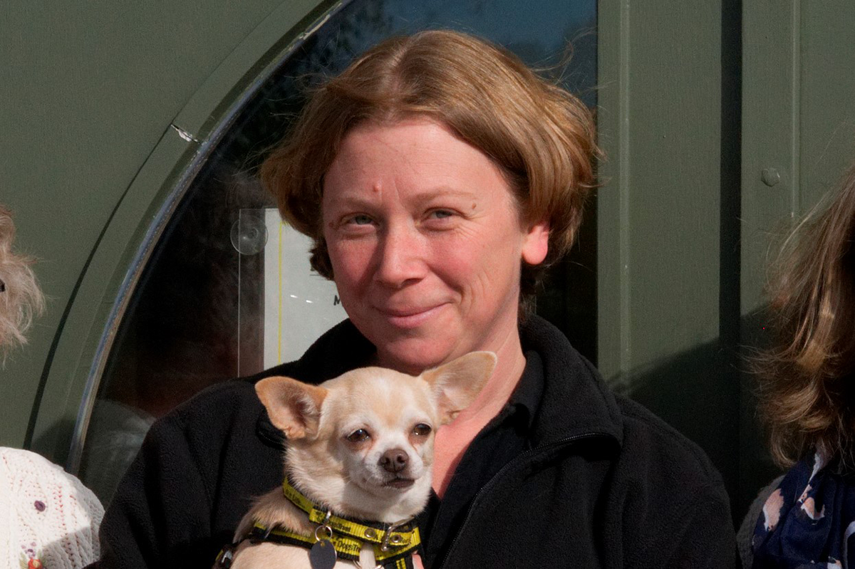 Dogs Trust Salisbury Seeks Doggy Foster pawrents Companion Life dogs-trust-salisbury-seeks-doggy-foster-pawrents-companion-life