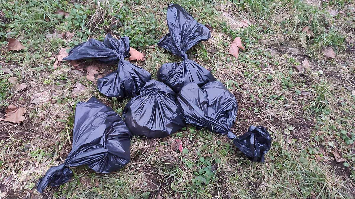 Appeal after grisly find of dead rabbits with appalling injuries near ...