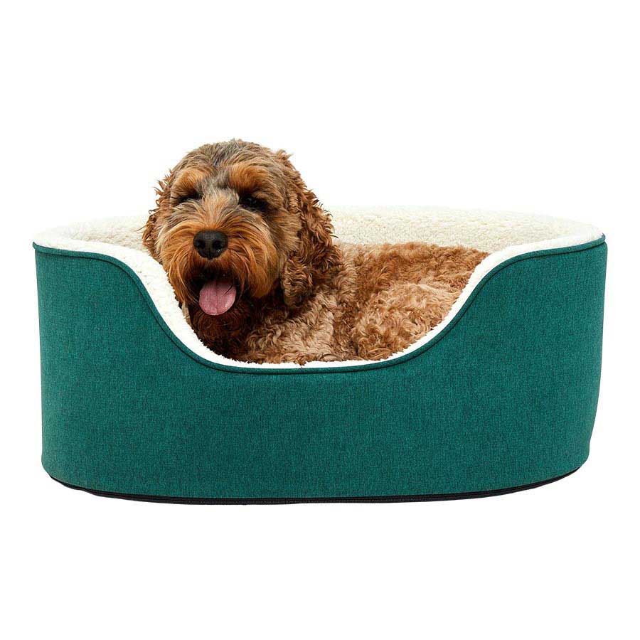 Pets at Home launches sale with savings of up to 30% off - Companion Life